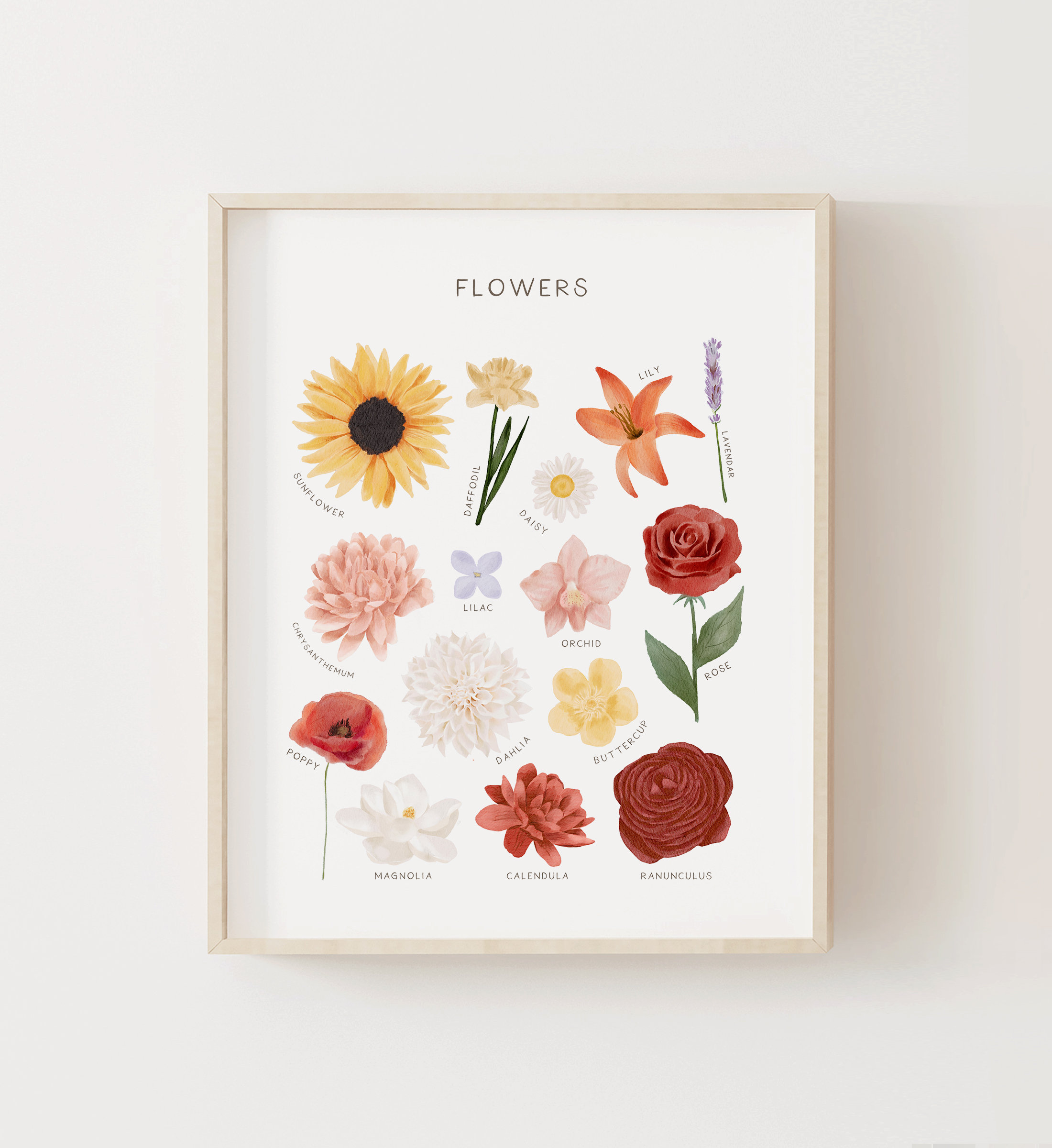Educational Flowers Poster, Flower Print, Printable Wall Art ...