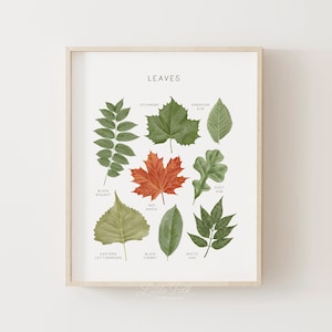 Educational Leaves Poster, Leaf Types Print, Printable Wall Art ...