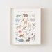 Rainbow Animal Alphabet and Numbers Prints, PRINTABLE Wall Art, ABC ...