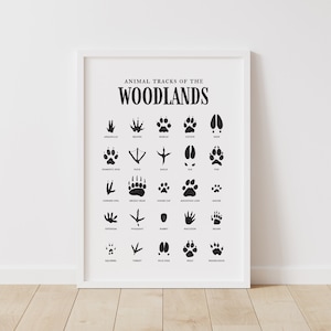 Animal Tracks Print, Woodland Nursery Decor, Printable Wall Art, Boys ...