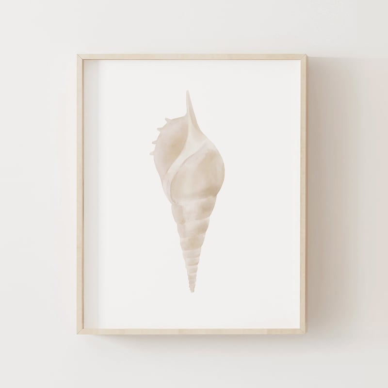 Shell Art Print - Etsy