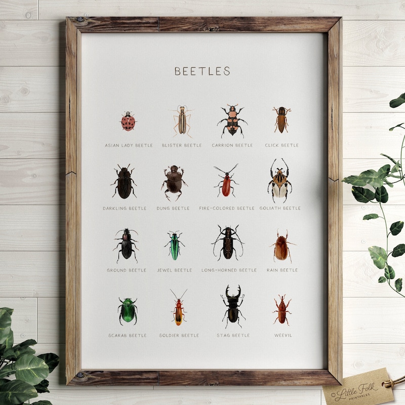 Bug Art Print - Etsy