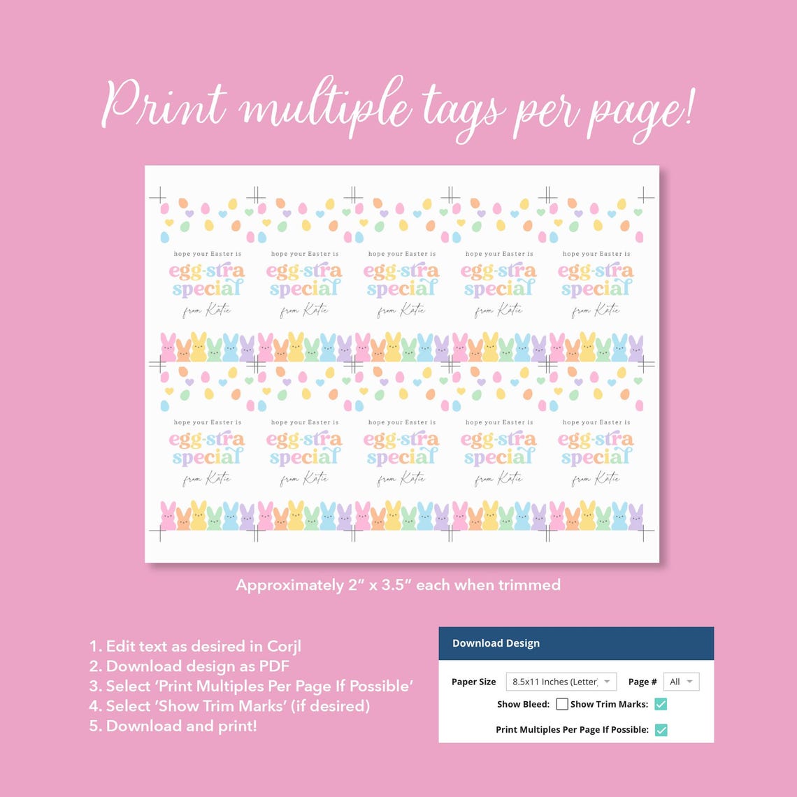 Easter Gift Tag Template, Hope Your Easter is Eggstra Special, Kids ...