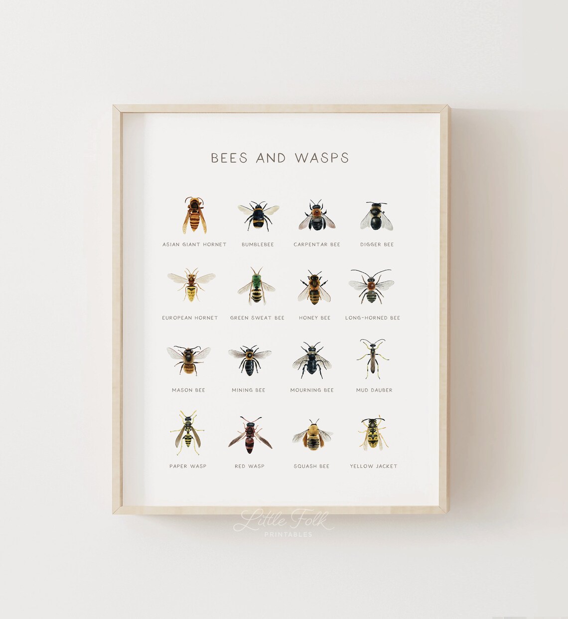 Educational Bugs Poster, Bees and Wasps Print, Printable Wall Art ...