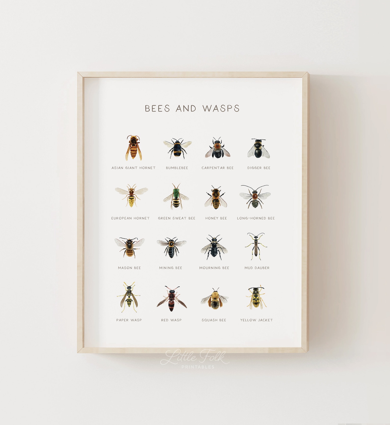 Educational Bugs Poster Bees and Wasps Print Printable Wall - Etsy
