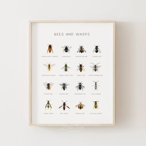 Educational Bugs Poster, Bees and Wasps Print, Printable Wall Art ...