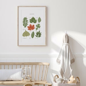 Educational Leaves Poster, Leaf Types Print, Printable Wall Art ...