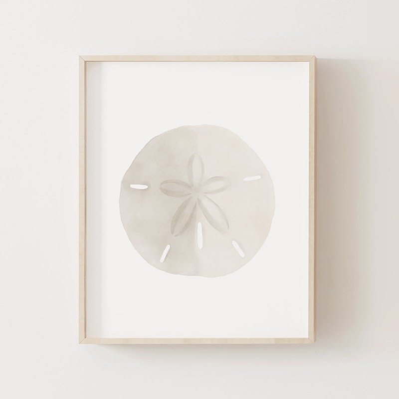 Sand Dollar Art - Etsy