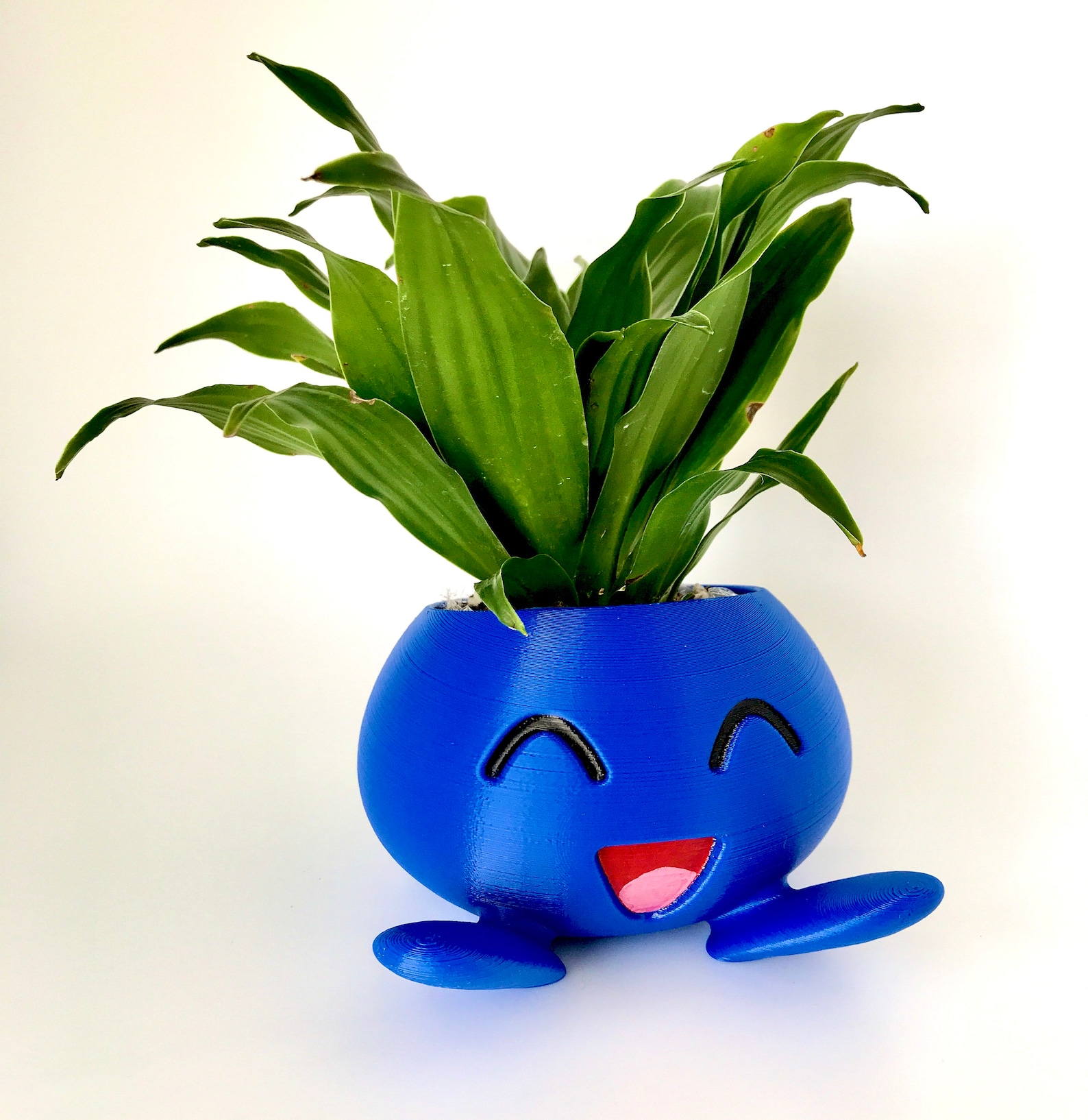 Pokemon Oddish Planter – Hand-painted PLA, Drainage Hole - Etsy