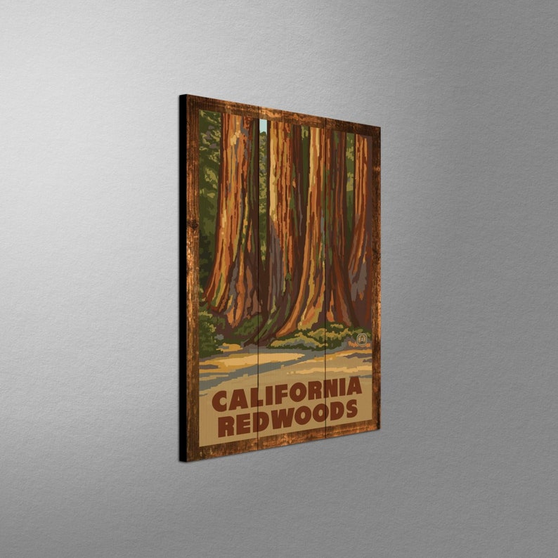 California Redwoods Trees Giclee Art Print Poster From Travel Artwork ...