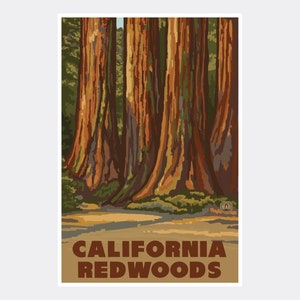 California Redwoods Trees Giclee Art Print Poster From Travel Artwork ...