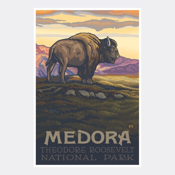 Theodore Roosevelt - Etsy