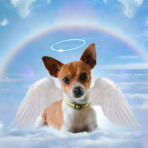 Deceased Dog With Wings - Etsy