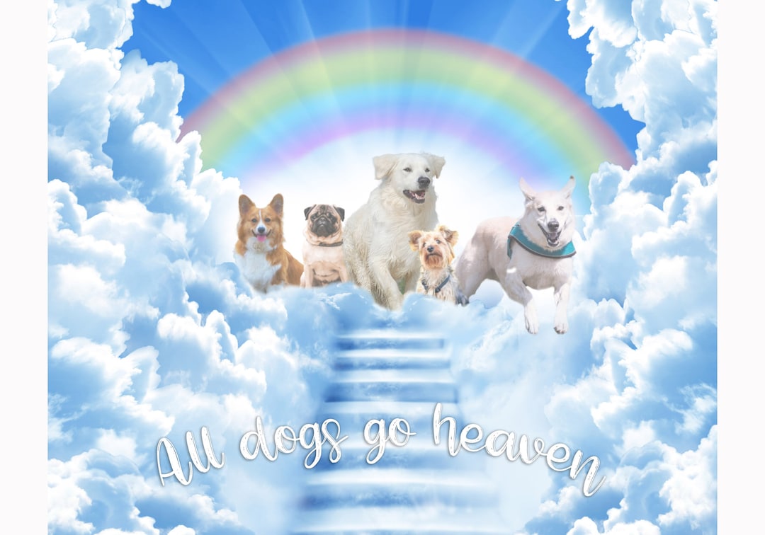 Custom Personalized All Dogs Go to Heaven Printable Art Picture, Add ...