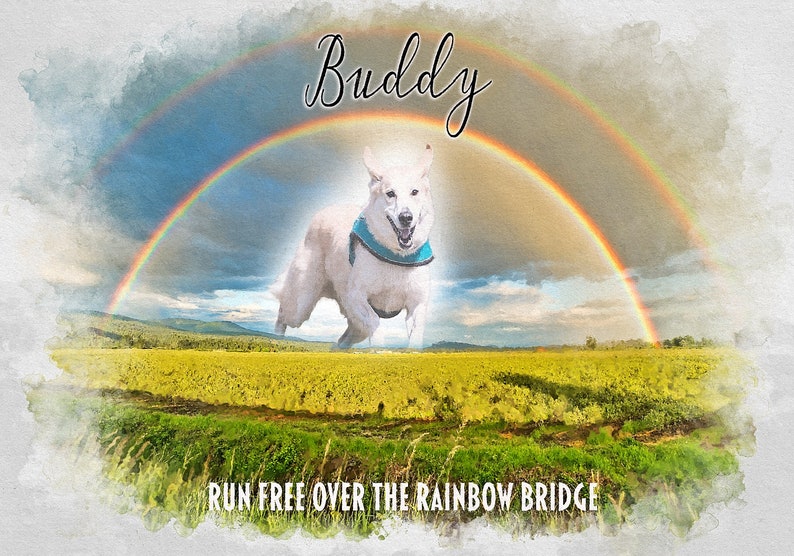 Personalized Loved Dog Rainbow Bridge Portrait Custom - Etsy
