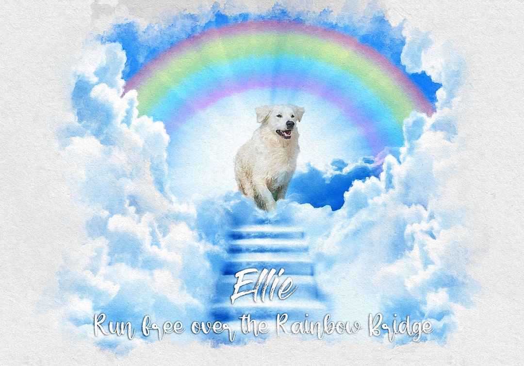 All Dogs Go to Heaven, Dog Memorial Picture Gift, Rainbow Bridge Dog ...