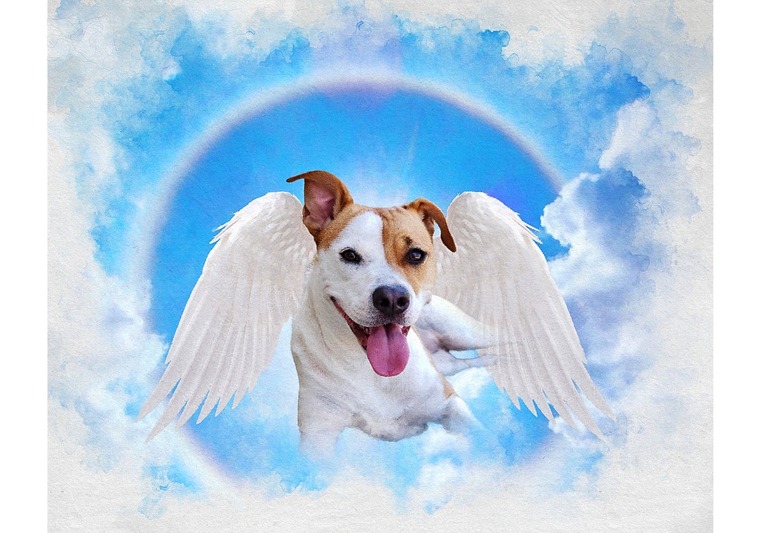 Pet Loss Gift, Pet Memorial Angel Wing Print, Dog Memorial Gift, Pet ...