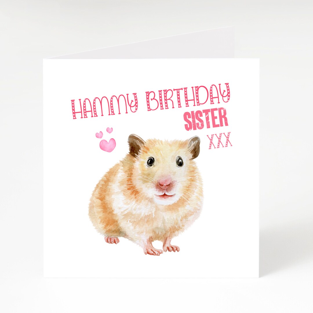 Hamster Birthday Card for Sister / Card for Little Girl / UK Shop - Etsy