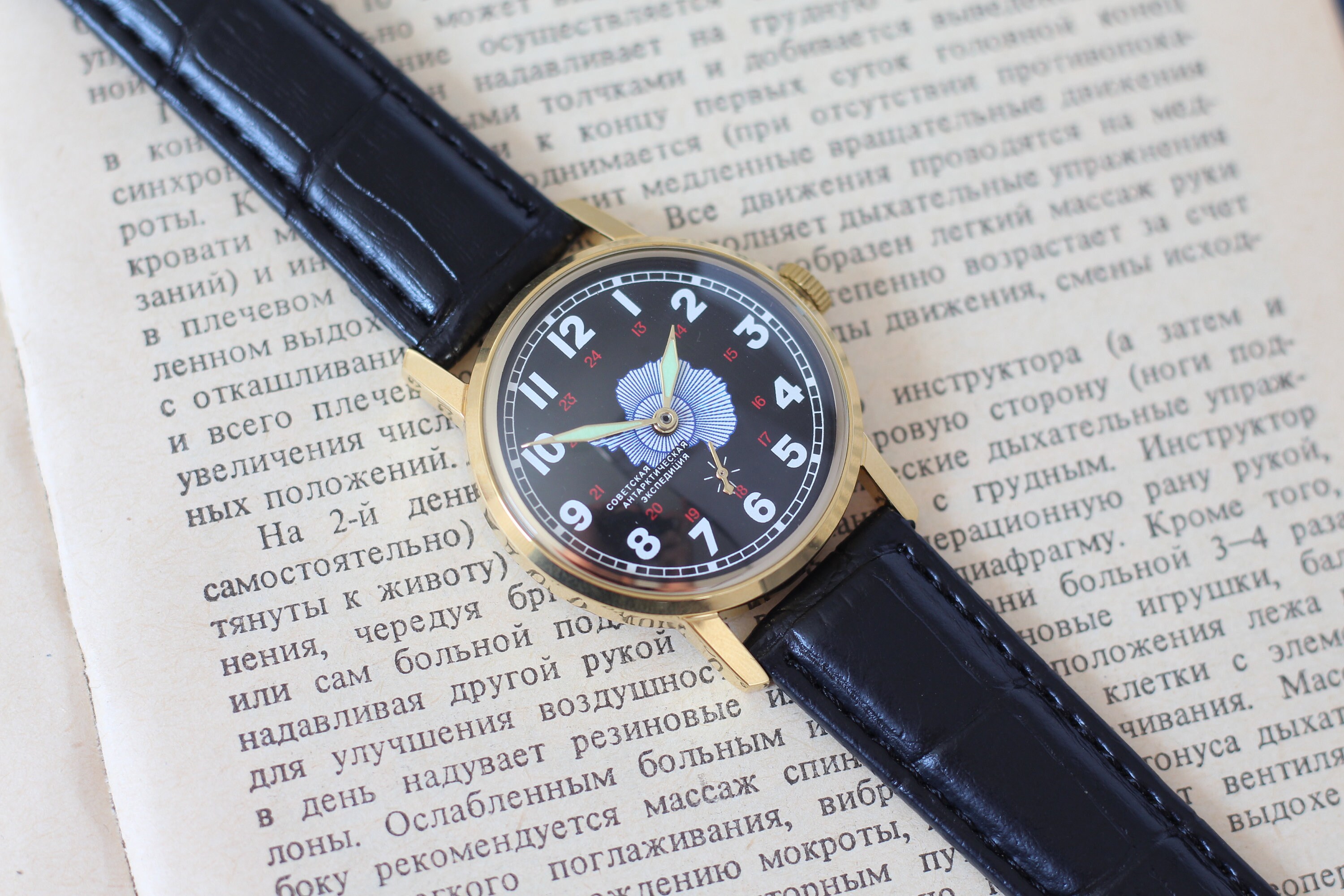 Pobeda Antarctic Expedition Penguin Watch Soviet Watches - Etsy