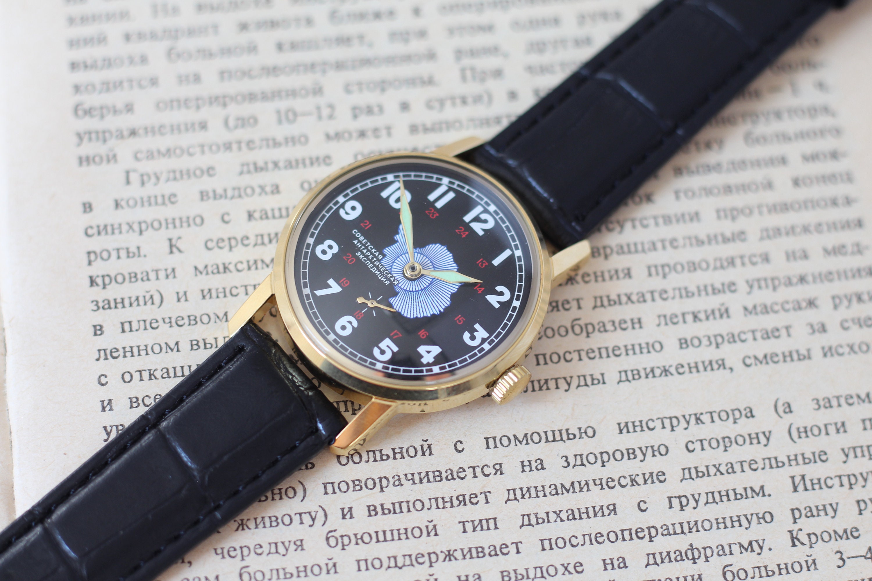 Pobeda Antarctic Expedition Penguin Watch Soviet Watches - Etsy