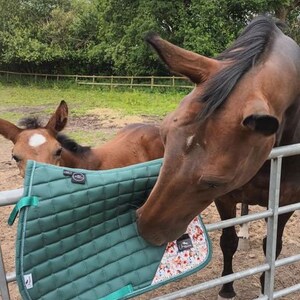 Equestrian Horse Riding Set With Horse Design Full Matchy Matchy - Can ...