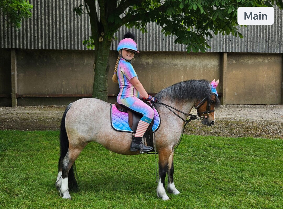 Equestrian Horse Riding Set Rainbow Leopard Print Full Matchy Matchy ...