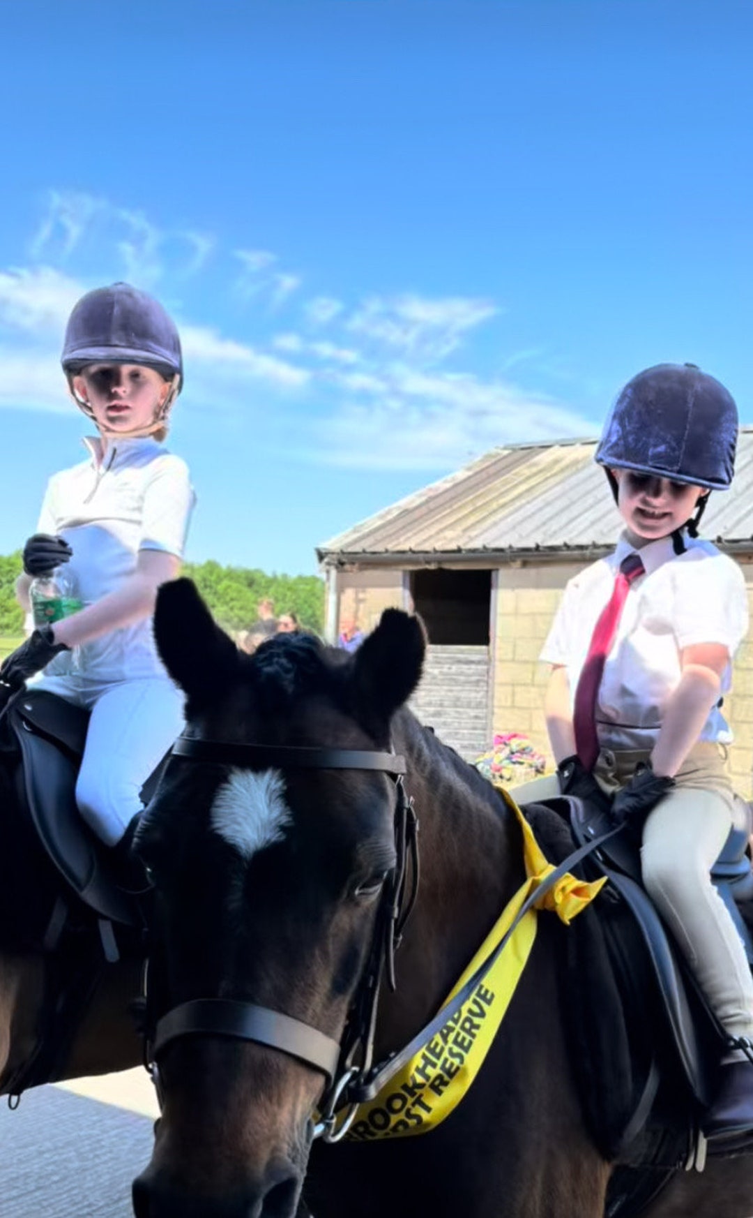 Equestrian White Competition Riding Tights With Sticky Bum Lovely Fit ...