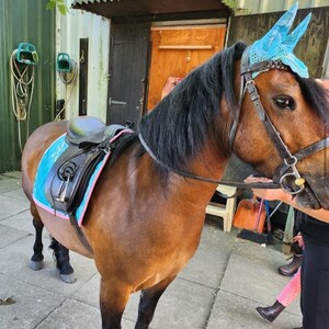 Equestrian Horse Riding Set Mint Marble Print Full Matchy Matchy - Can ...