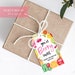 Twotti Frutti Gable Box, Tutti Frutti Favor Box, Twoti Girl, Tutti ...