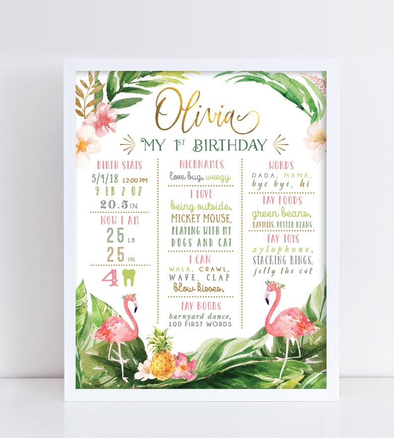 Flamingo Time Capsule 1st Birthday Party Signs Pool Party | Etsy