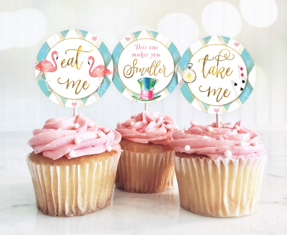 Alice in Wonderland Milestone Board Baby Infographic | Etsy