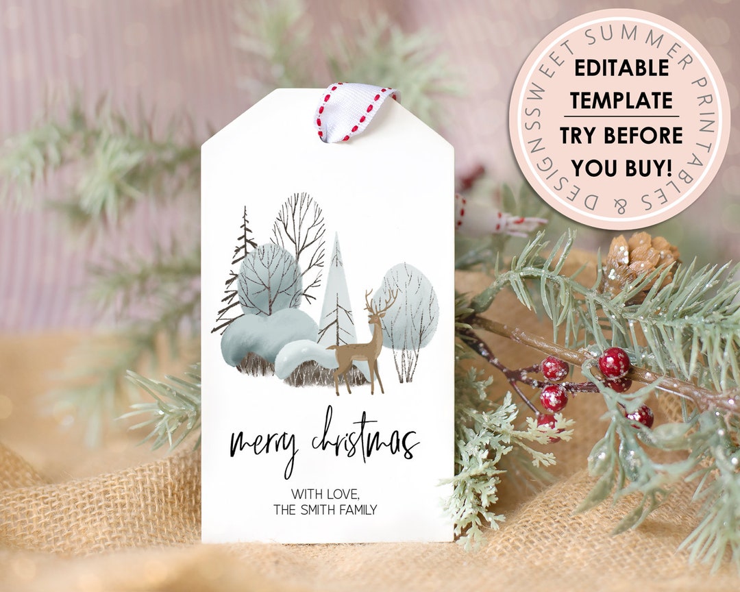 Winter Wonderland Gift Tag Printable, Editable Christmas Gift Tag ...