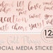 125 Rose Gold Words and Phrases Instagram Story Stickers, Rose Gold ...