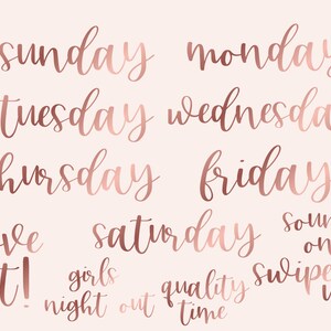 125 Rose Gold Words and Phrases Instagram Story Stickers, Rose Gold ...