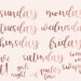 125 Rose Gold Words and Phrases Instagram Story Stickers, Rose Gold ...