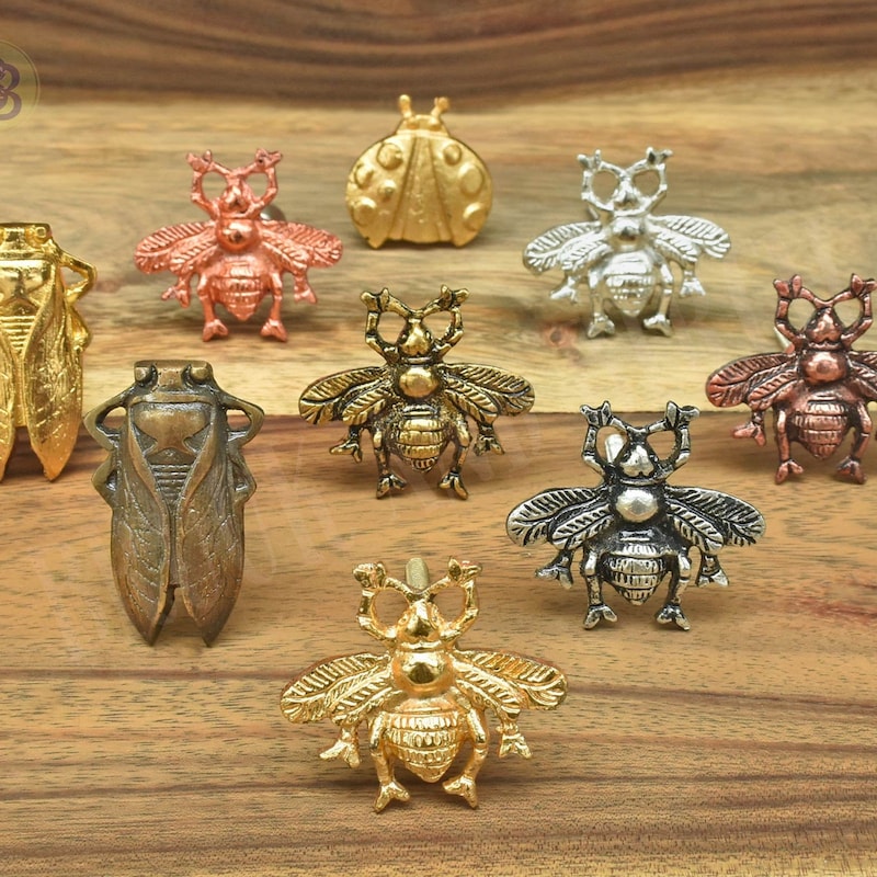 Insect Drawer Knobs - Etsy