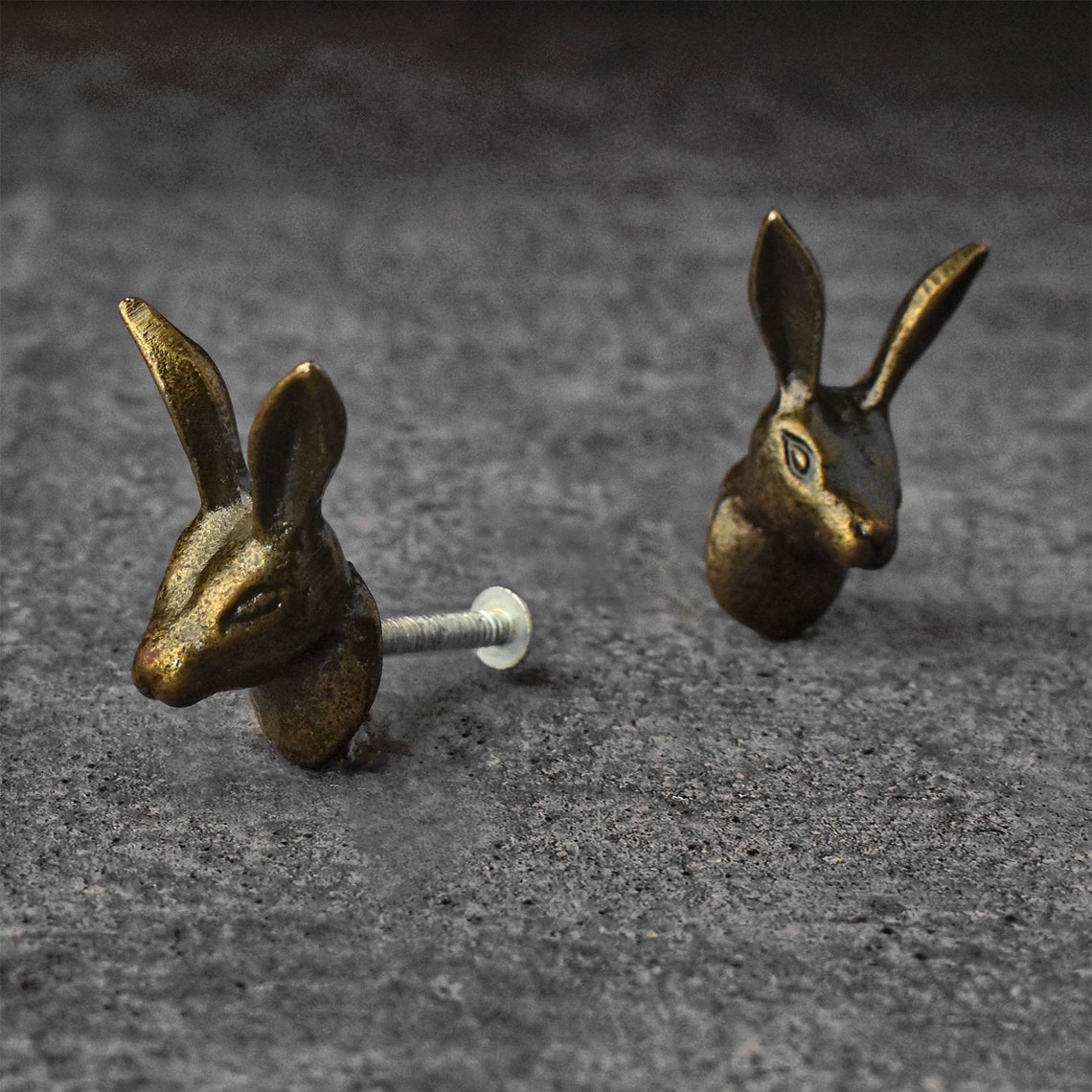 Set of Rabbit Metal Cabinet Drawer Knob Hare Animal Cupboard - Etsy