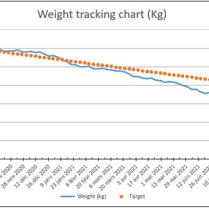 Weight Loss Tracker for Google Sheets and Excel, Fitness Planner ...