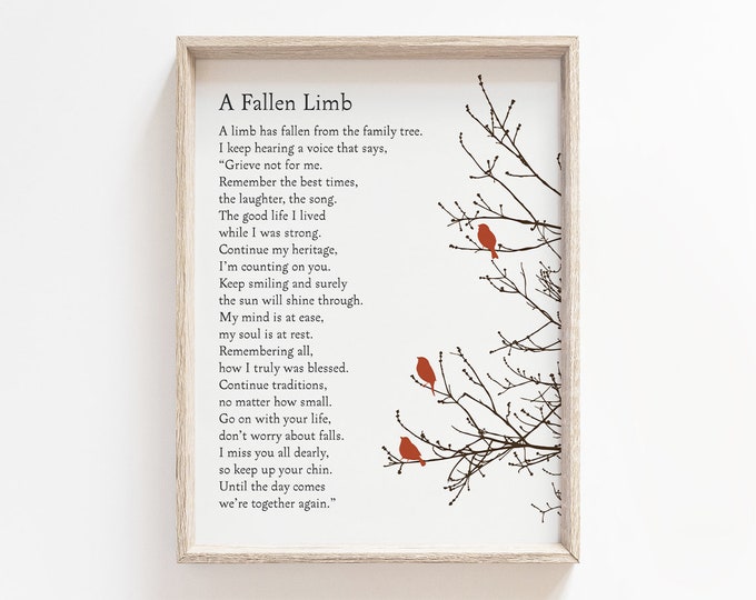 Feathers Print by Donna Ashworth | Sympathy Gift | Condolences Gift ...