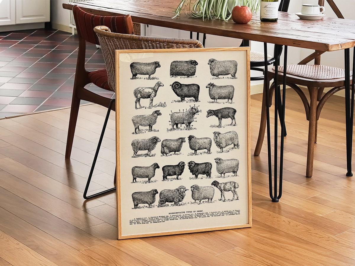 Breeds of Sheep Printable, Types of Sheep, Farmhouse Decor, Farmer ...