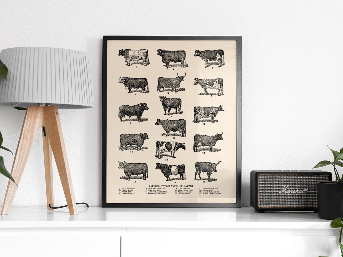 Breeds of Cow Printable, Types of Cattle, Digital Download, Farmhouse ...