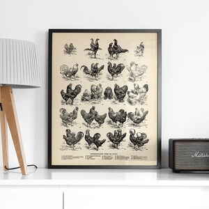 Breeds of Fowls Printable, Types of Chicken, Farmhouse Decor, Cottage ...
