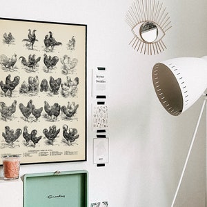 Breeds of Fowls Printable, Types of Chicken, Farmhouse Decor, Cottage ...