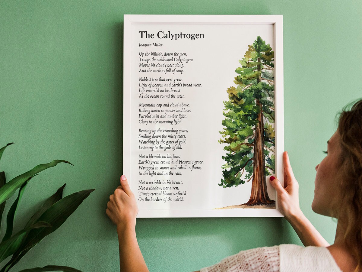 The Calyptrogen Poem by Joaquin Miller, Sequoia Tree Life Printable ...