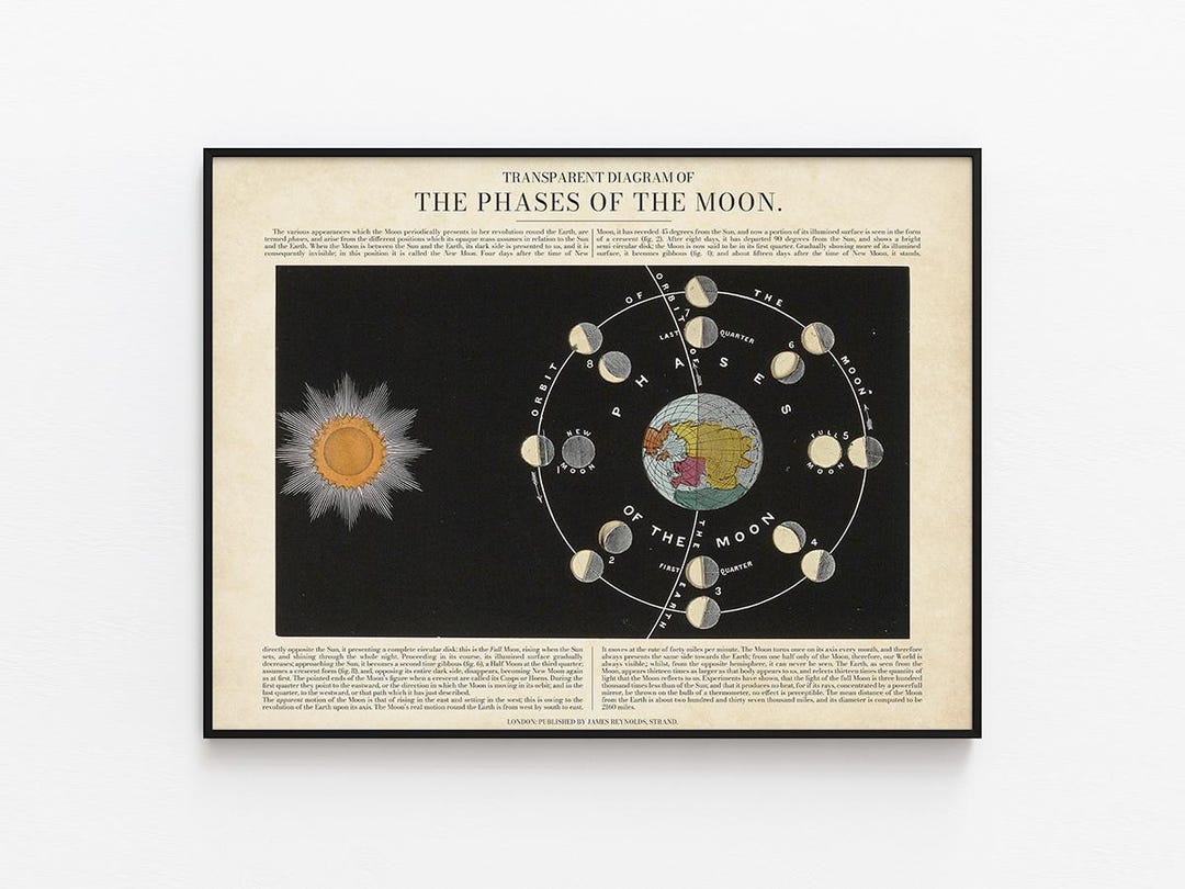 Phases of the Moon Vintage Astronomy Lunar Cycle Chart Printable ...
