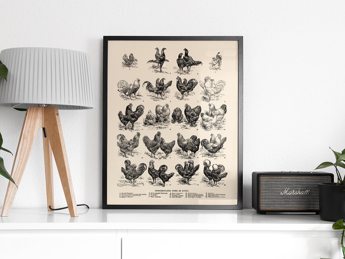 Breeds of Fowls Printable, Types of Chicken, Farmhouse Decor, Cottage ...