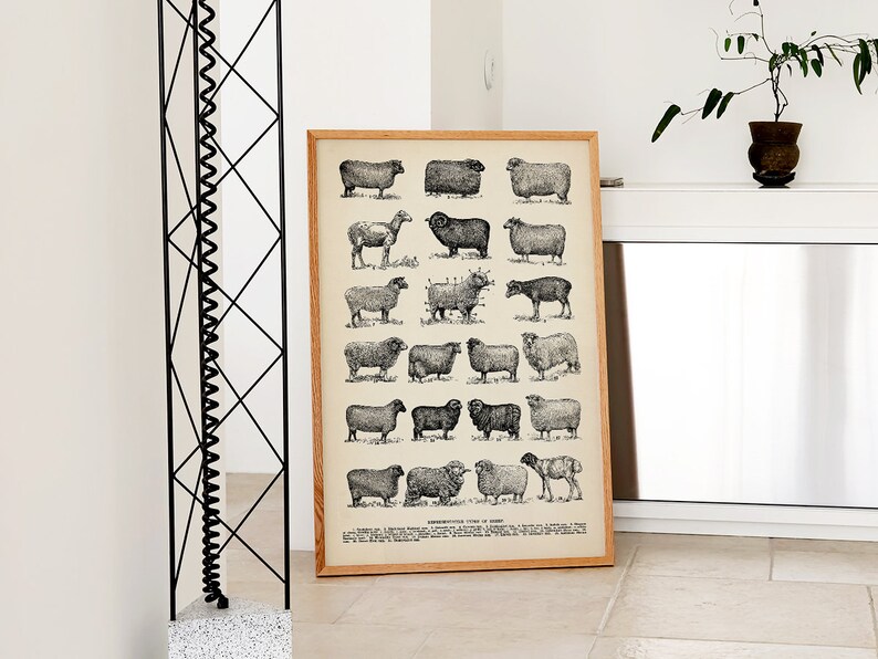 Breeds of Sheep Printable, Types of Sheep, Farmhouse Decor, Farmer ...