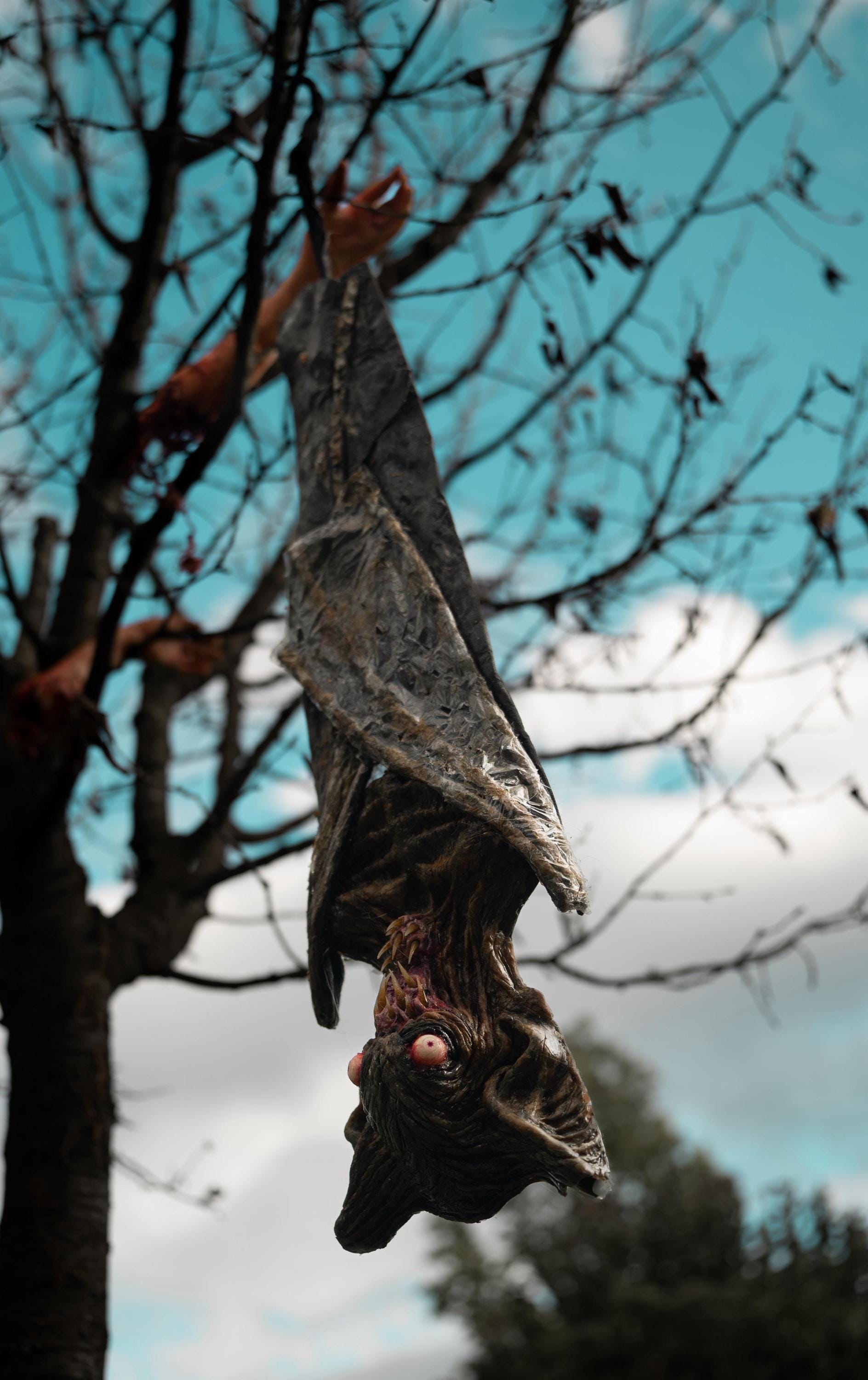 Petrifying Horror Vampire Bat 4ft 3in Long Hanging Monster Dracula Bram ...