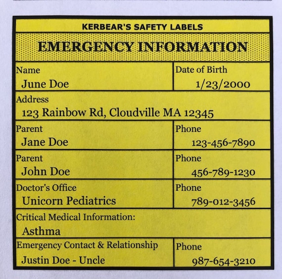 Blank Emergency Car Seat ID Label | Etsy