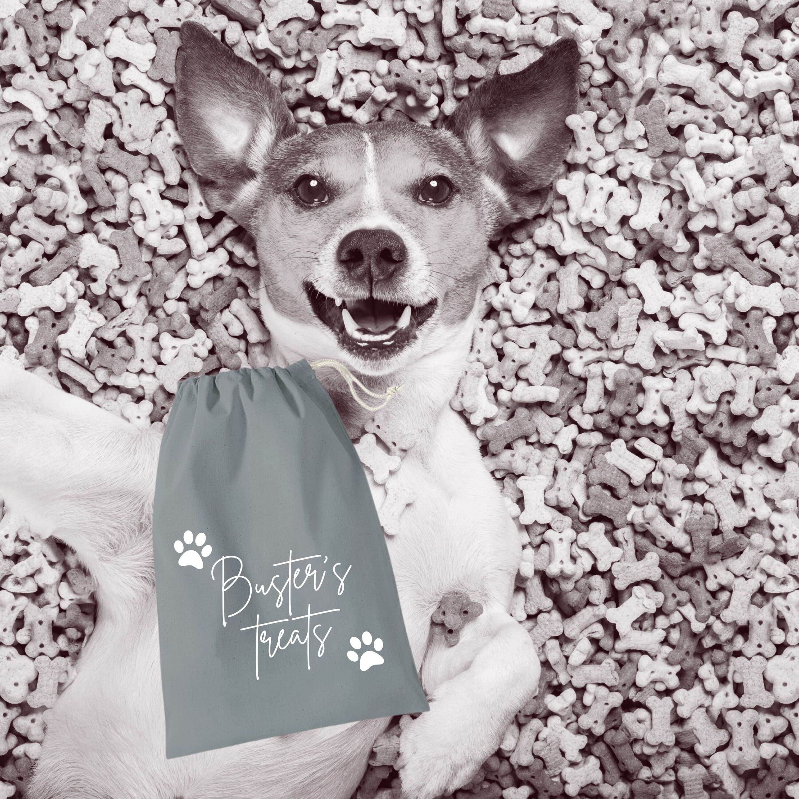 Personalised Dog Treat Bag Pet Treat Bag Dog Treat Bag - Etsy UK Personalised Dog Treat Bag Pet Treat Bag Dog Treat Bag - Etsy UK